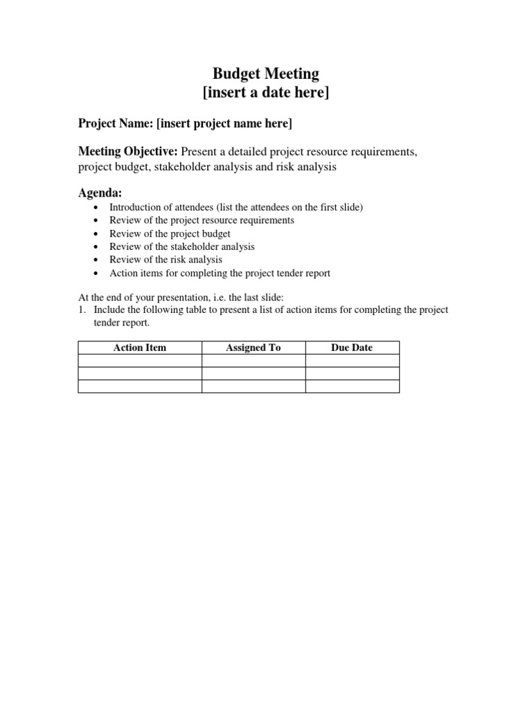 Budget Meeting Agenda and Action Items | PDF