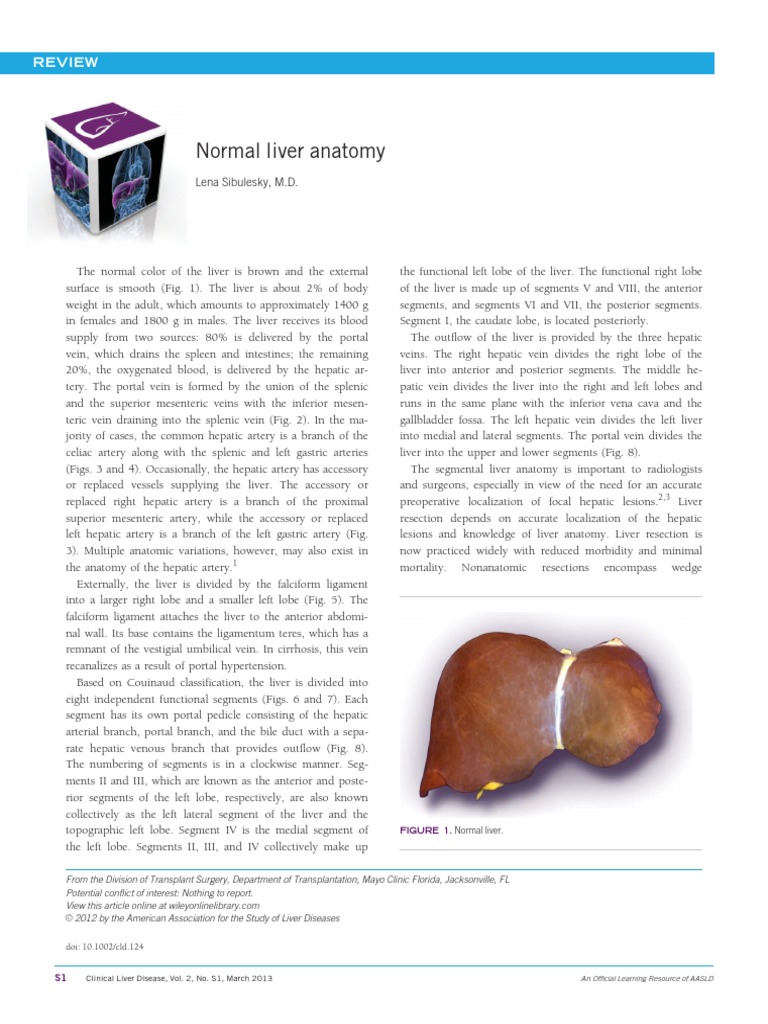 Normal Liver Anatomy | PDF | Liver | Spleen