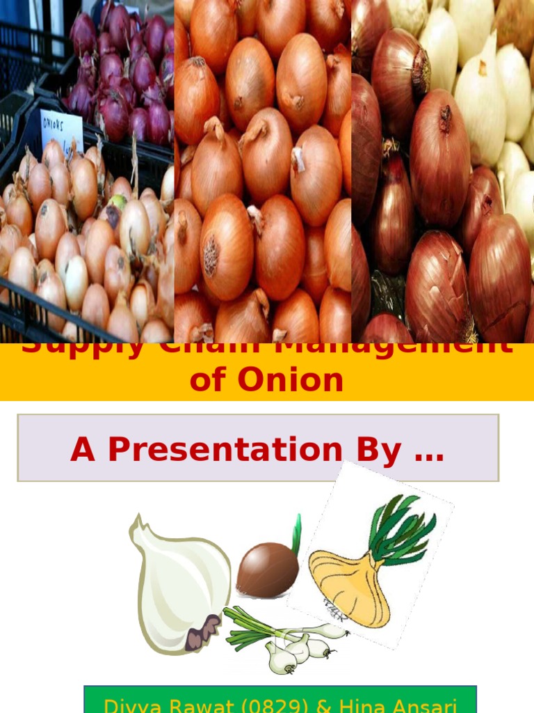 Onion Supply Chain Management Overview | PDF | Onion | Humidity