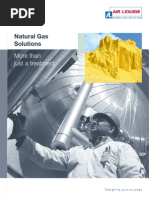BASF Oase Gas-Treatment | PDF | Natural Gas | Carbon Capture And Storage