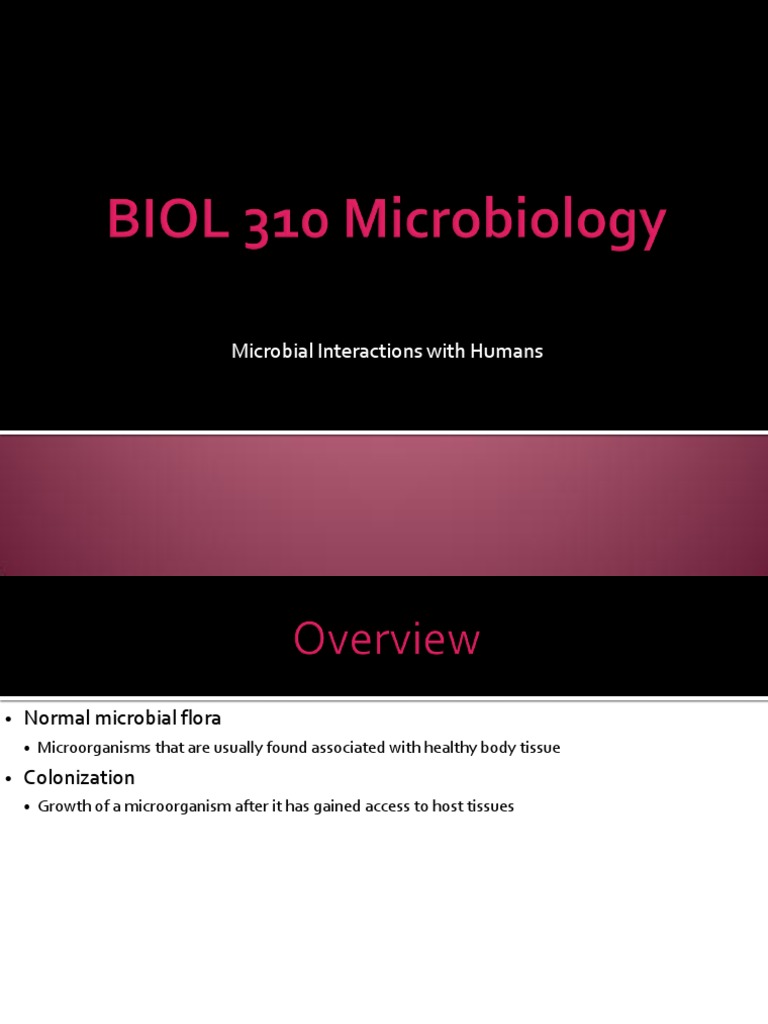 Chapter 27 Microbial Interactions With Humans | PDF | Gut Flora ...