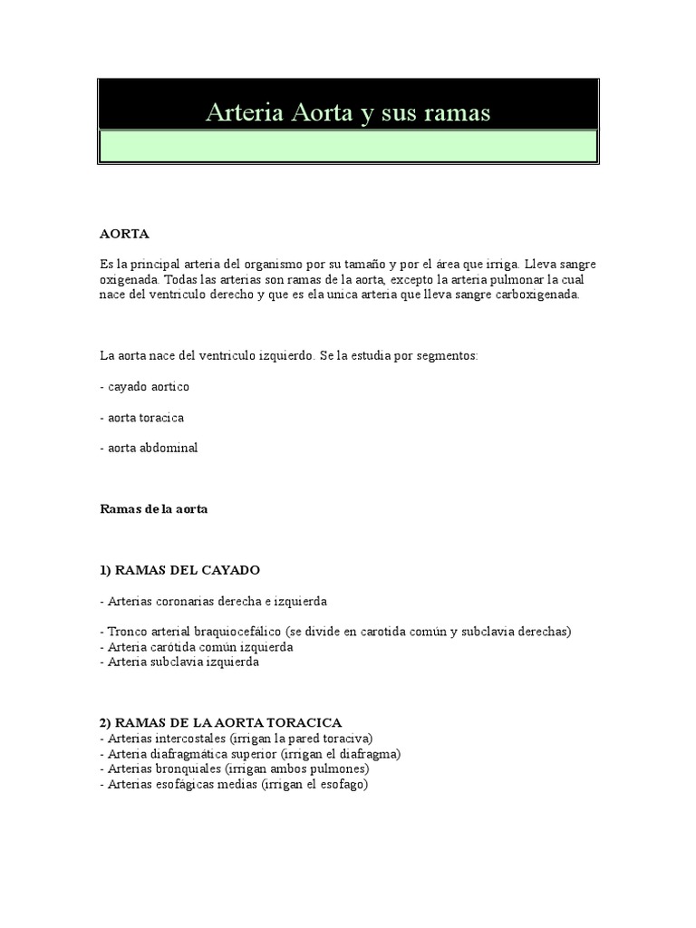 Arteria Aorta y Sus Ramas | PDF | Aorta | Artería