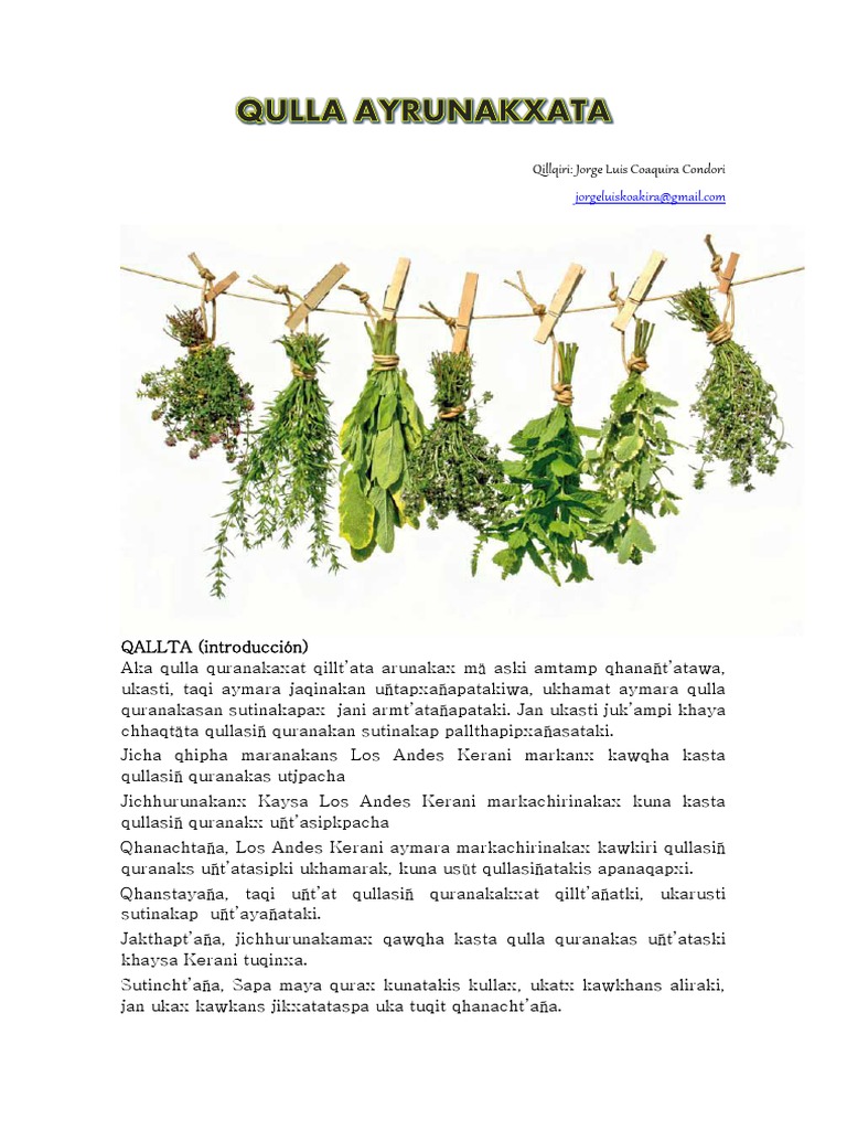 QULLA AYRUNAKXATA (Plantas Medicinales) | PDF
