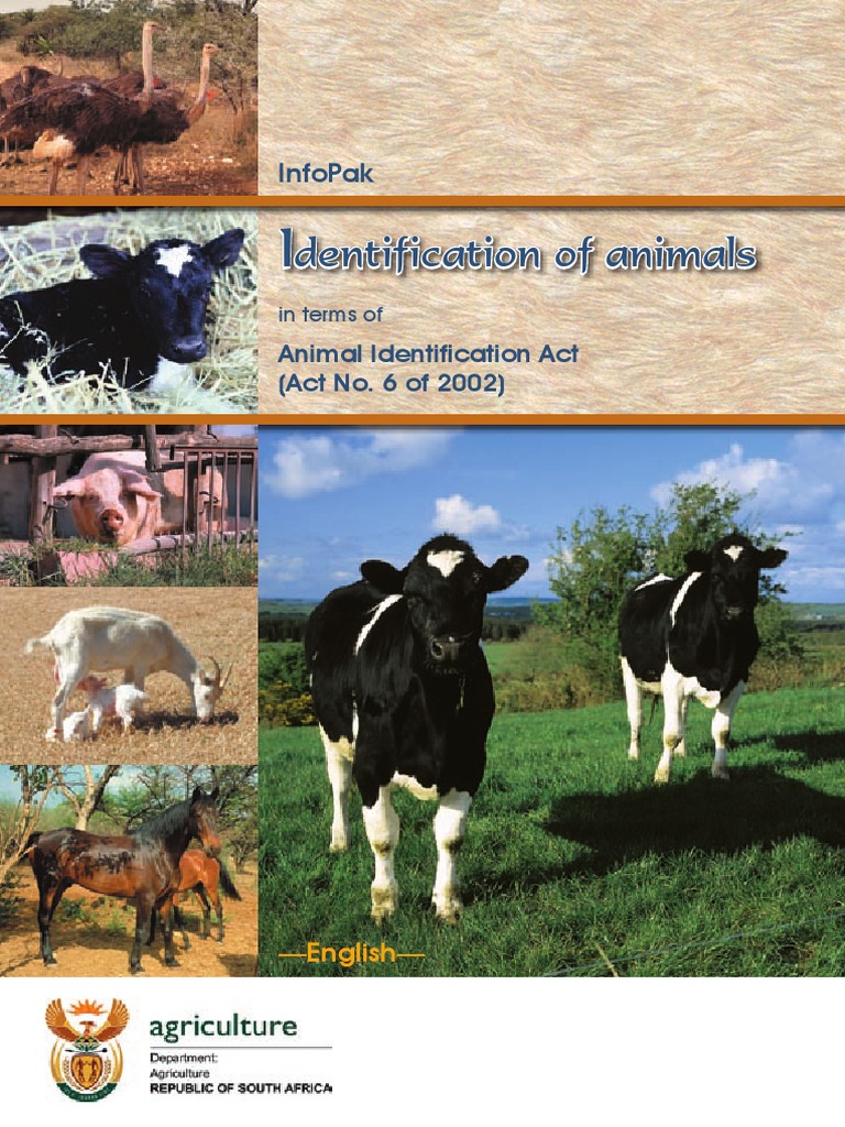 Identification of Animals Feb2008 Web | PDF | Livestock Farming ...