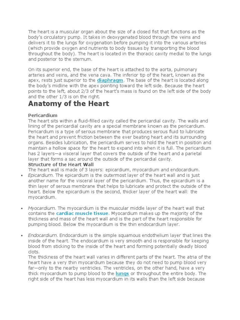 Anatomy and Function of the Heart | PDF | Science & Mathematics