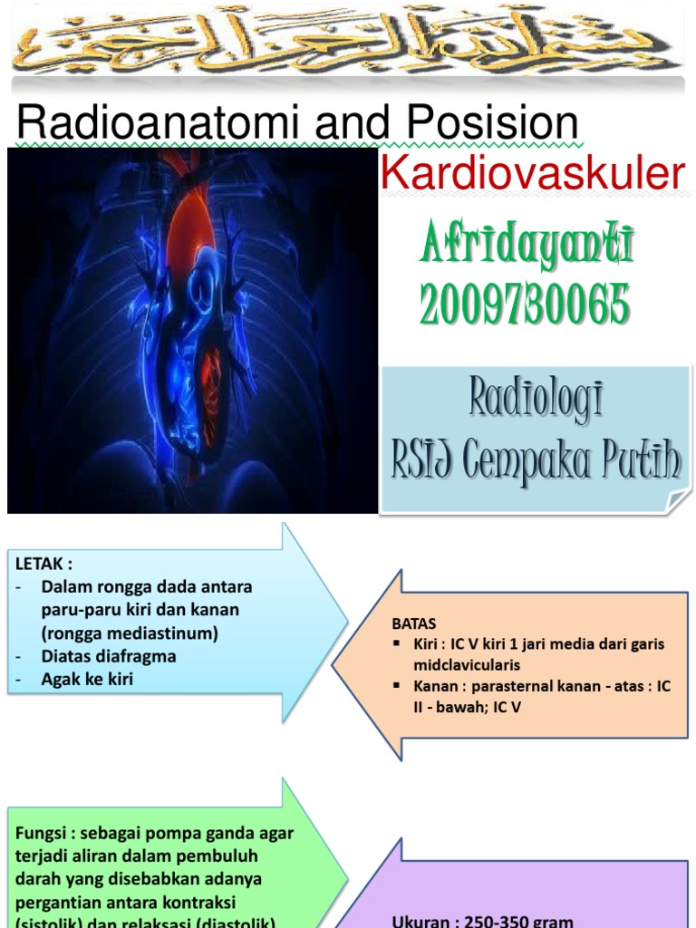 Radioanatomi and Posision | PDF