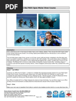 PADI RDP TABLE Matric | PDF | Scuba Diving | Occupational Safety And Health