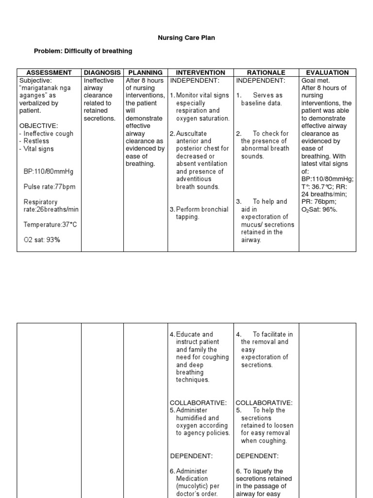 Nursing Care Plan Problem: Difficulty of Breathing | PDF | Respiratory ...