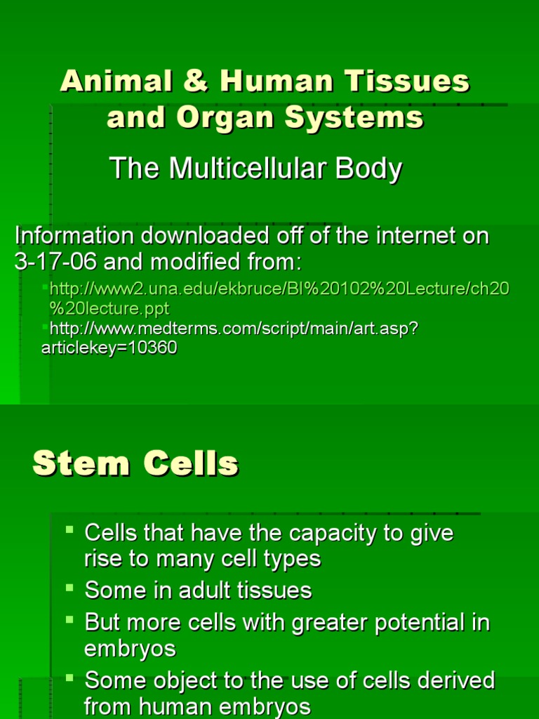 Animal & Human Tissues and Organ Systems The Multicellular Body | PDF ...