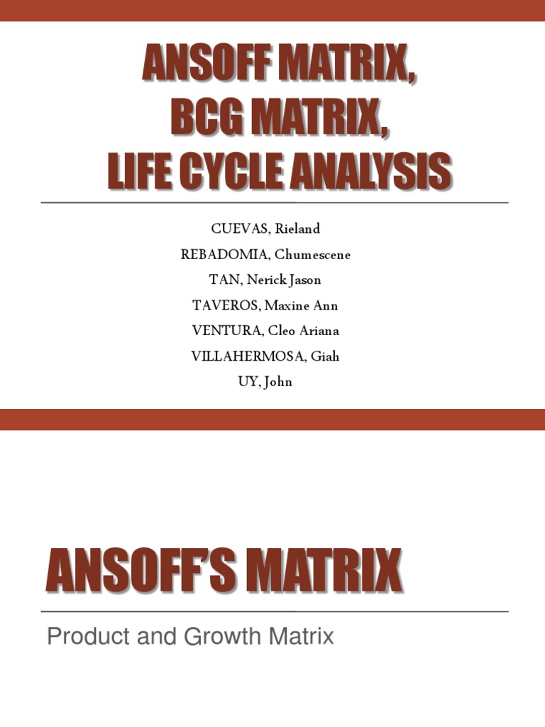 Ansoff S Matrix | PDF | Life Cycle Assessment | Economies