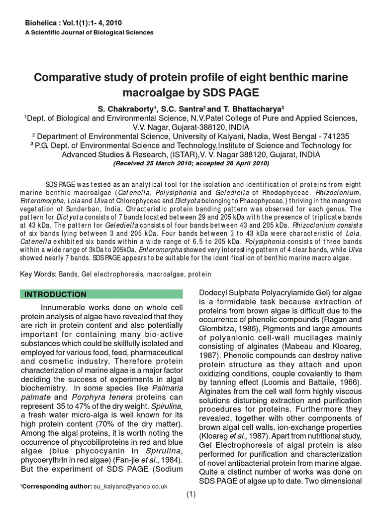 Protein Profiles of Marine Macroalgae | PDF | Gel Electrophoresis ...