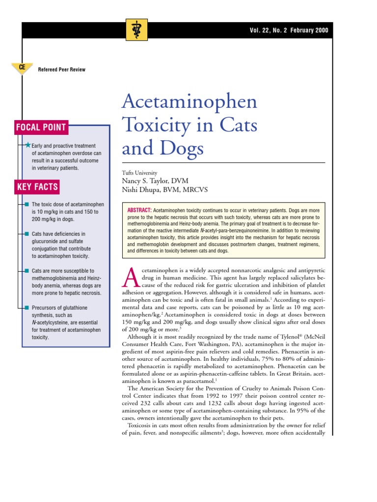 C+F-Acetaminophen Toxicity in Cats and Dogs | Download Free PDF ...