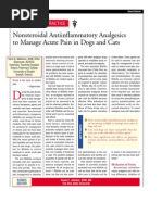 Kitty Magic | PDF | Anesthesia | Surgery