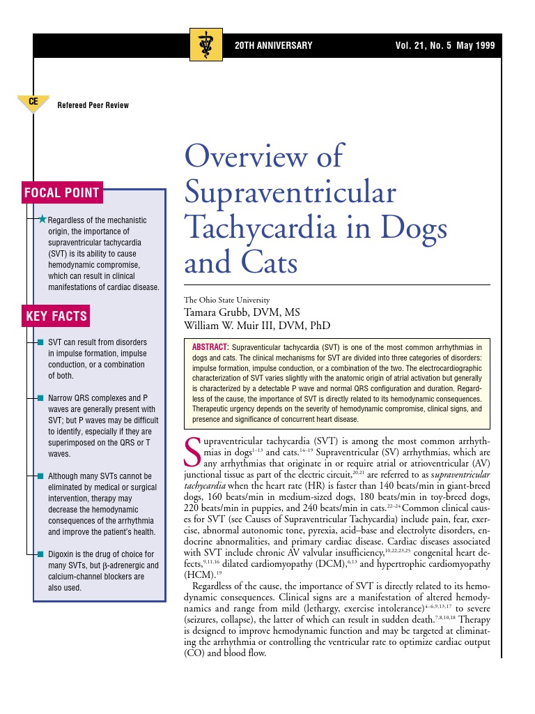 C+F-Overview of Supraventriculer Tachycardia in Dogs and Cats | PDF ...