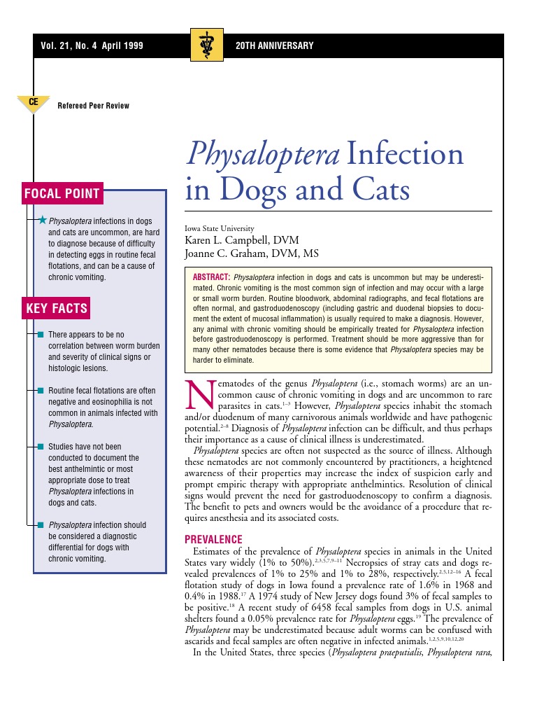 C+F-Physaloptera Infection in Dogs and Cats | PDF | Stomach | Infection