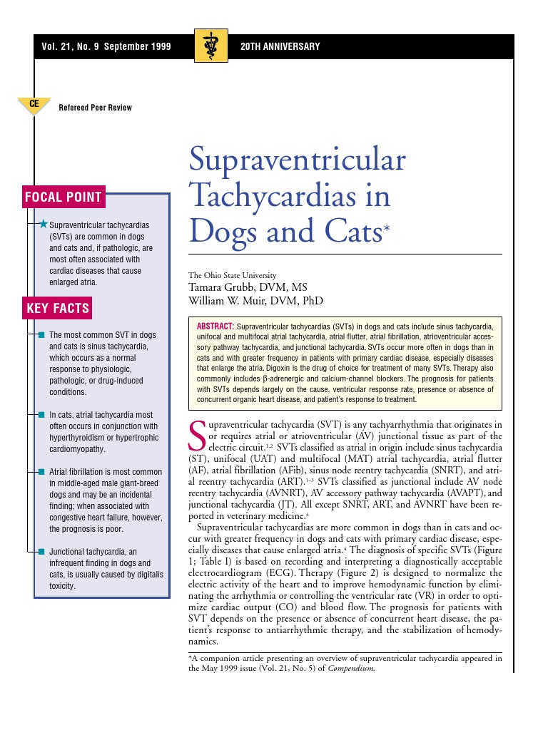 C+F-Supraventricular Tachycardias in Dogs and Cats | PDF ...