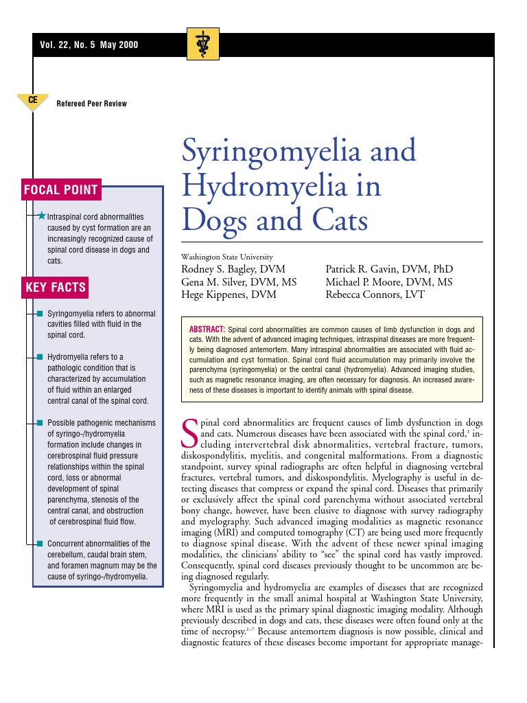 C+F-Syringomyelia and Hydro My Elia in Dogs and Cats | PDF ...