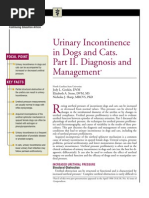 ACVIM Consensus Statement On Diagnosis and Managem | PDF | Urination ...