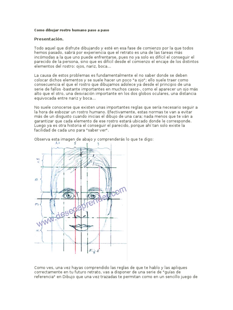 Como Dibujar Rostro Humano Paso A Paso Pdf Esfera Cráneo