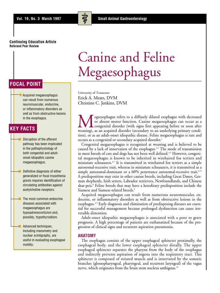 Canine and Feline Mega Esophagus | PDF | Esophagus | Vagus Nerve
