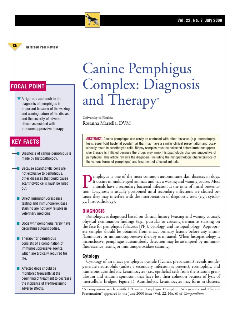 CANINE-Canine Pemphigus Complex-Diagnosis and Therapy | PDF | Antibody ...