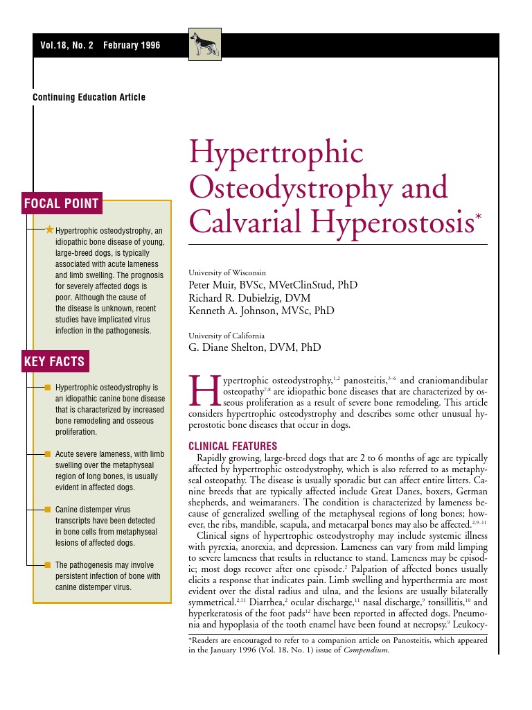 CANINE-Hypertrophic Osteodystrophy and Calvarial Hyperostosis | PDF ...