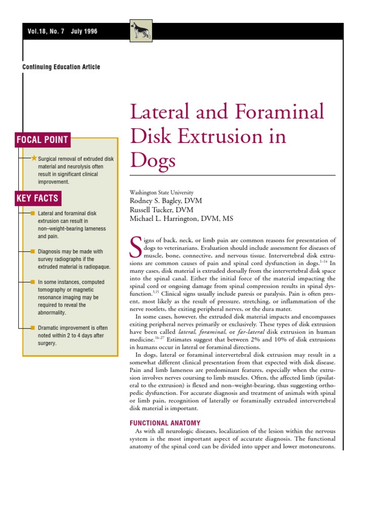 CANINE-Lateral and Foraminal Disk Extrusion in Dogs | PDF | Vertebral ...
