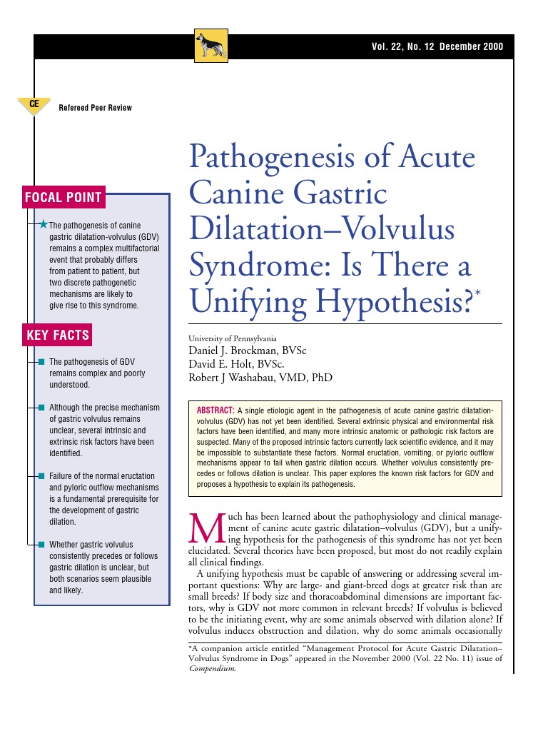 CANINE-PAthogenesis of Acute Canine Gastric Dilatation-Volvulus Syndrom ...