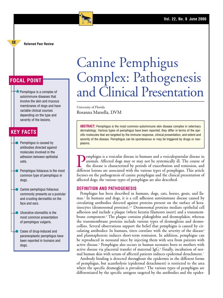 CANINE-Pemphigus Complex-Pathogenesis and Clinical Presentation | PDF ...