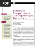 Patient-Scale POSAS-3.0 Generic-Scar English | PDF | Paresthesia | Medicine