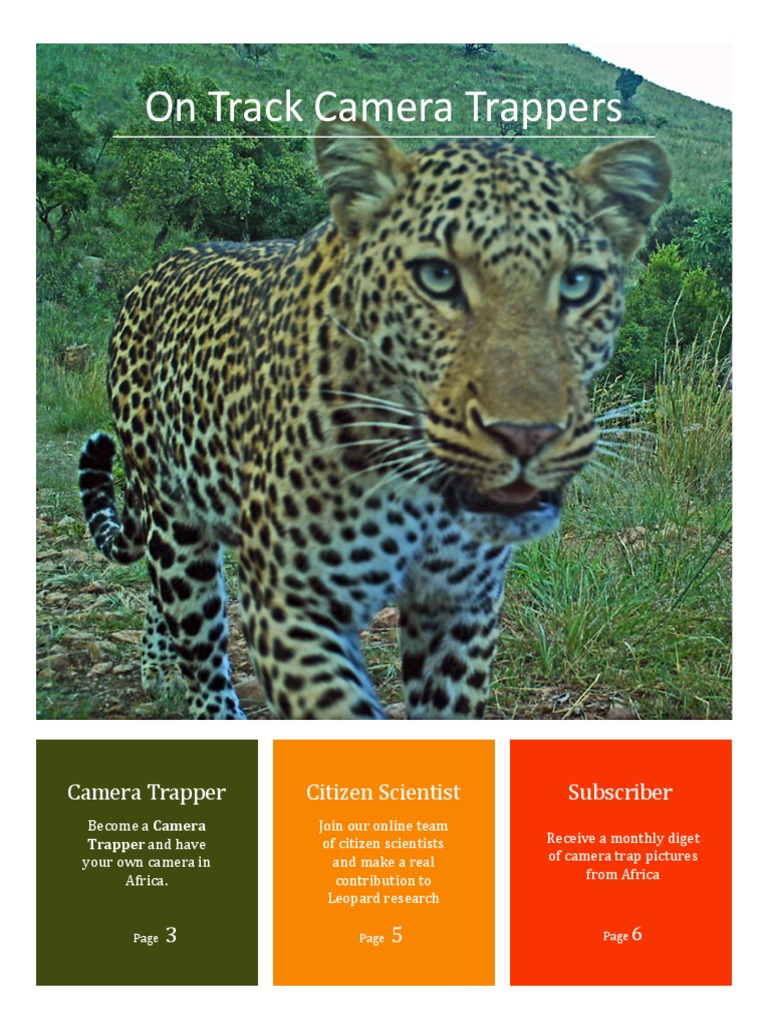 Camera Trappers | PDF