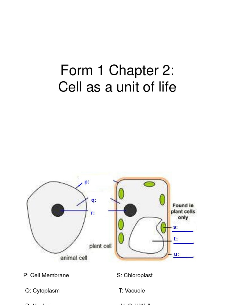 Form 1 Chapter 2: Cell As A Unit of Life | PDF
