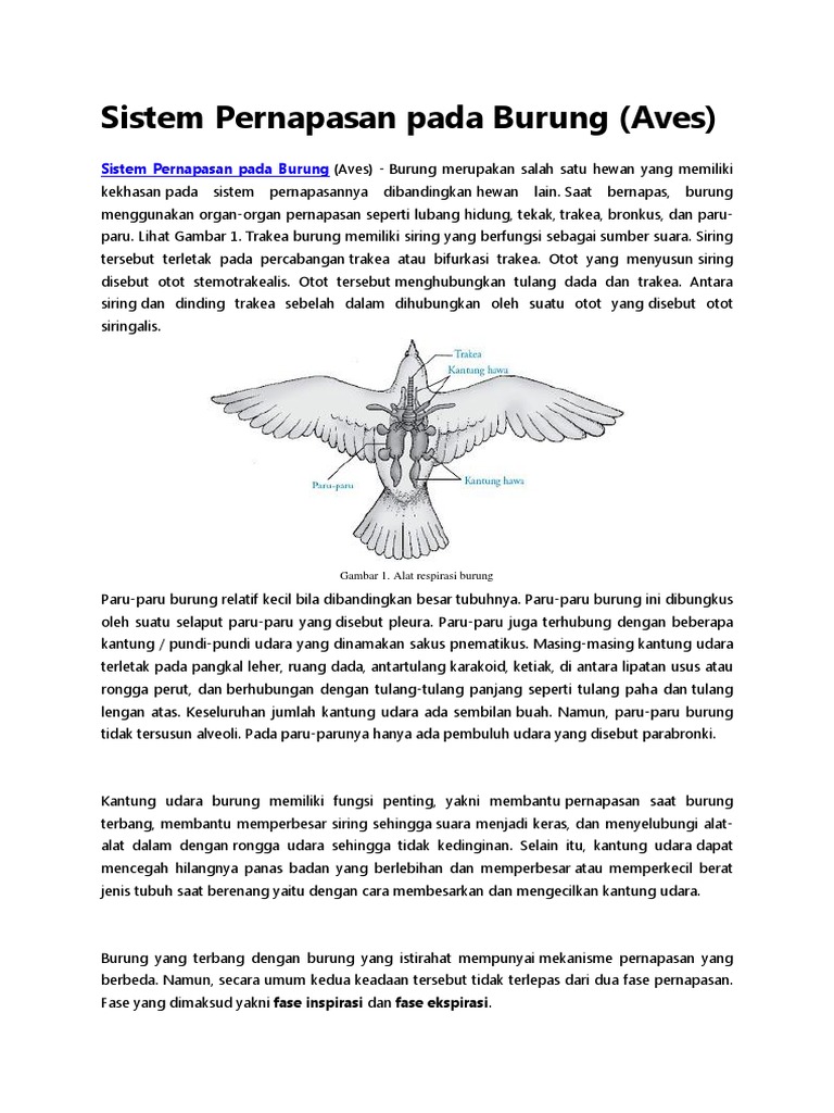 Sistem Pernapasan Pada Burung | PDF