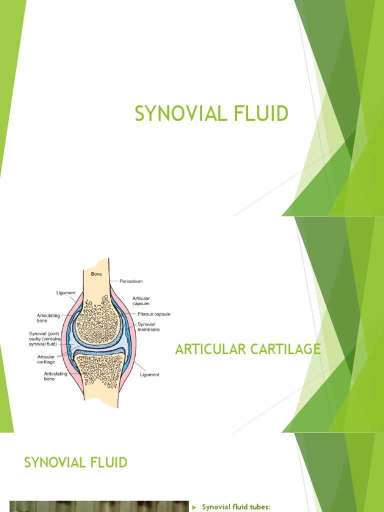 Synovial Fluid Contents – C’Est Quoi La Synovie – WLJZ