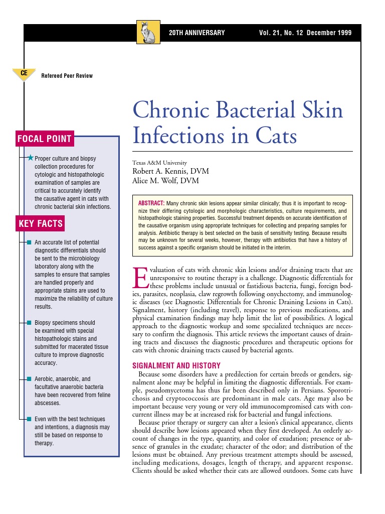Feline Chronic Bacterial Skin Infections In Cats Mycobacterium Infection