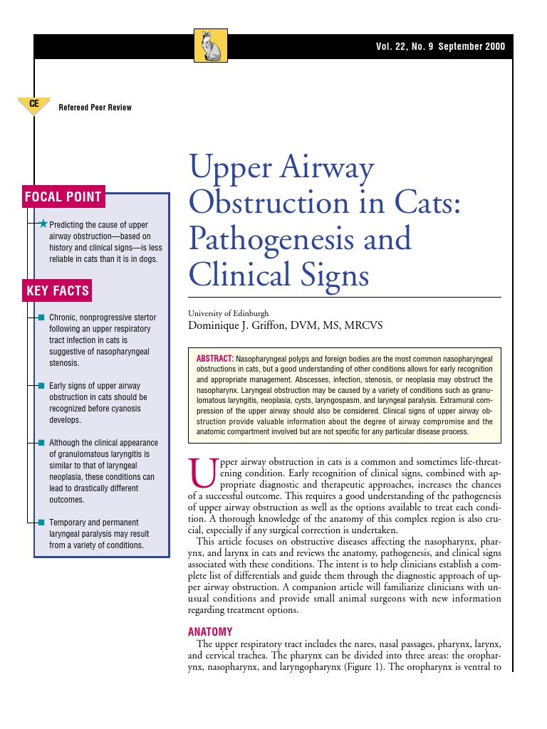 Pharynx And Larynx Cat