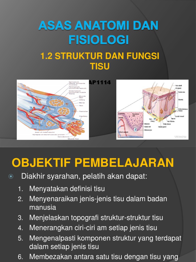Struk Fungsi Tisu 1 | PDF | Kajian Bahasa Asing | Kesehatan Holistik