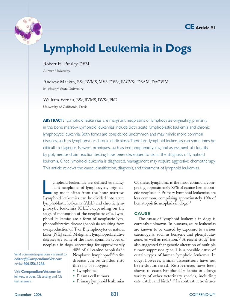 Lymphoid Leukemia in Dogs | Download Free PDF | Leukemia | Lymphocyte