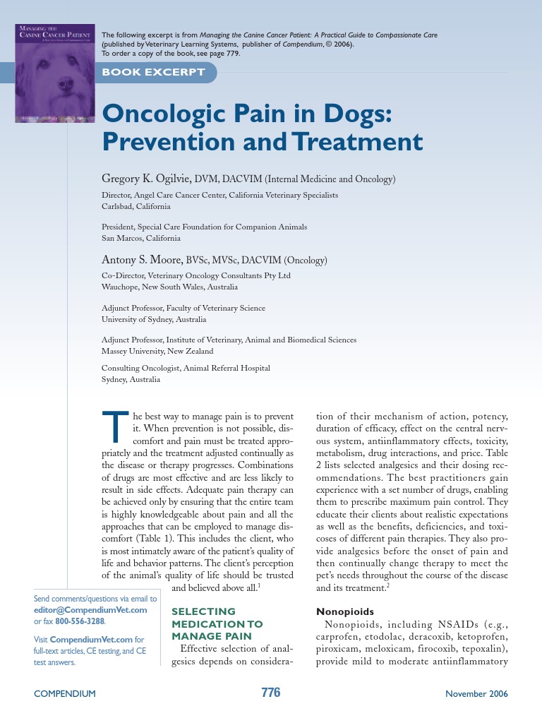 Oncologic Pain in Dogs | Analgesic | Opioid