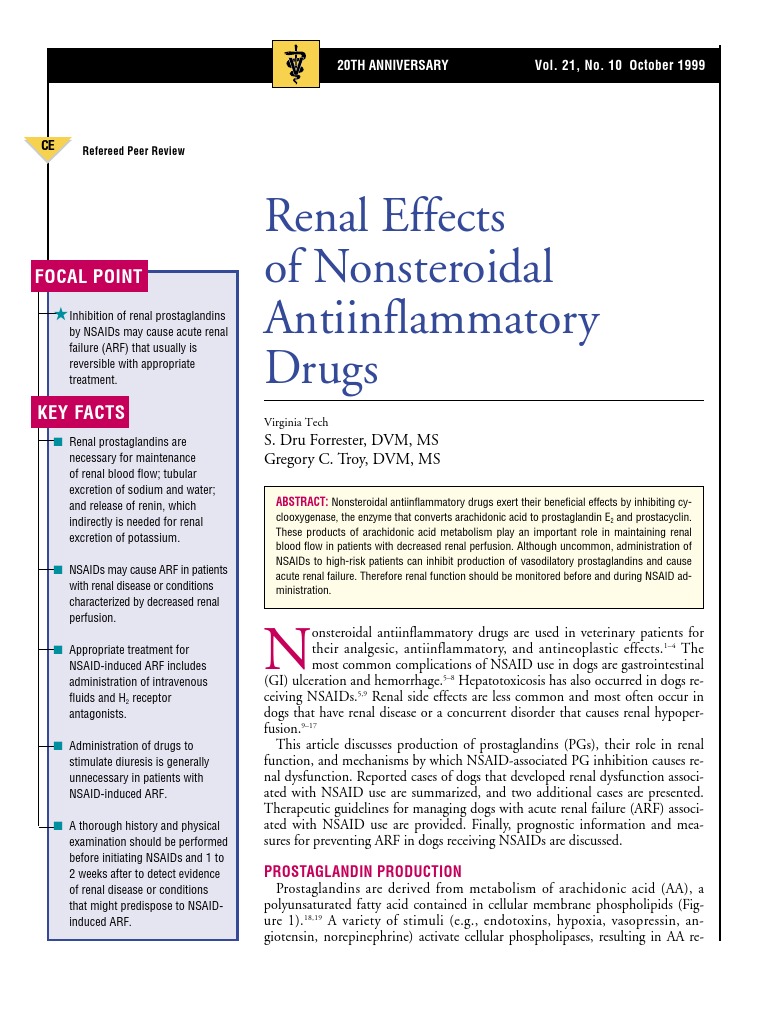 Renal Effects of NSAID | Nonsteroidal Anti Inflammatory Drug | Kidney