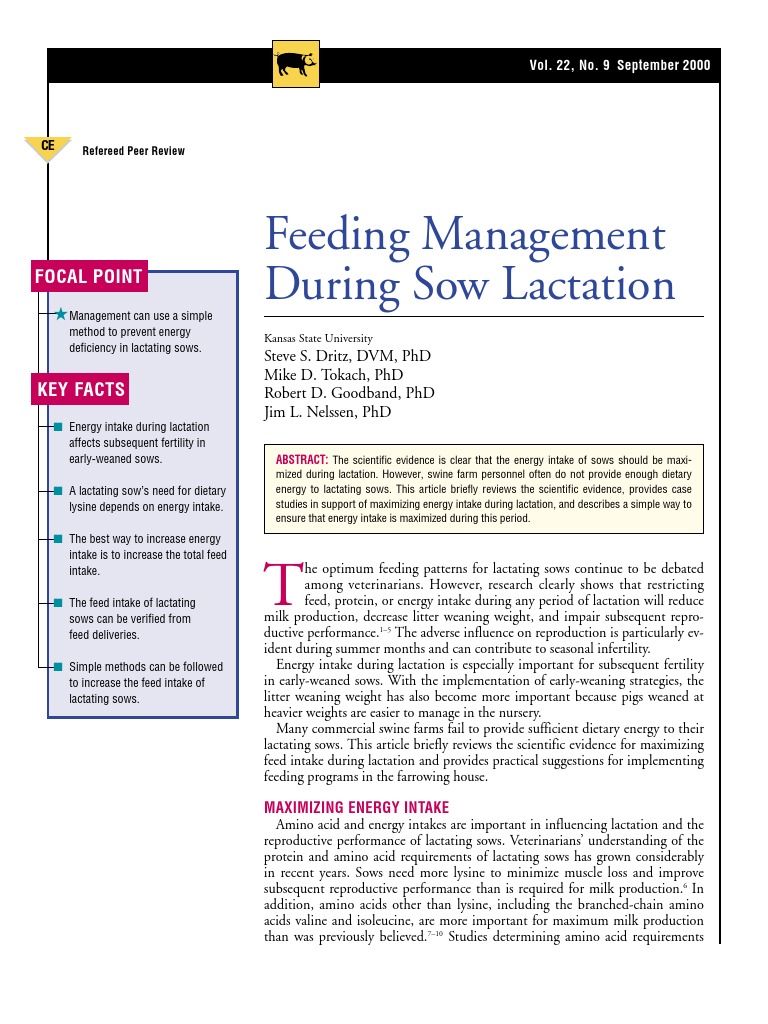 SOW-Feeding Management During Sow Lactation | Lysine | Weaning