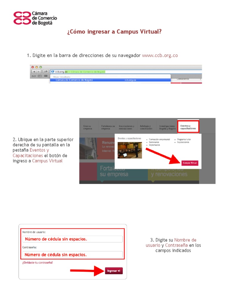 Cómo Ingresar A Campus Virtual Pdf