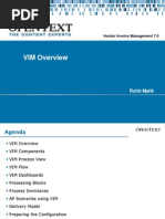 Vim Reports | PDF | Accounts Payable | Analytics