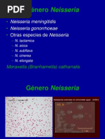 Proteus Ox19 en Las Reacciones Febriles Rickettsiosis | PDF ...