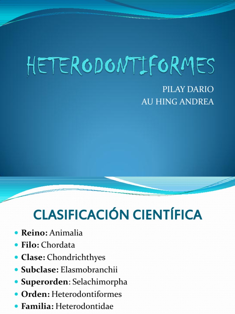 Heterodontiformes: Tiburones Cornudos | PDF | Ciencia y matemáticas