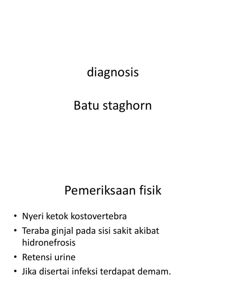 Pemeriksaan Fisik Pada Batu Staghorn | PDF