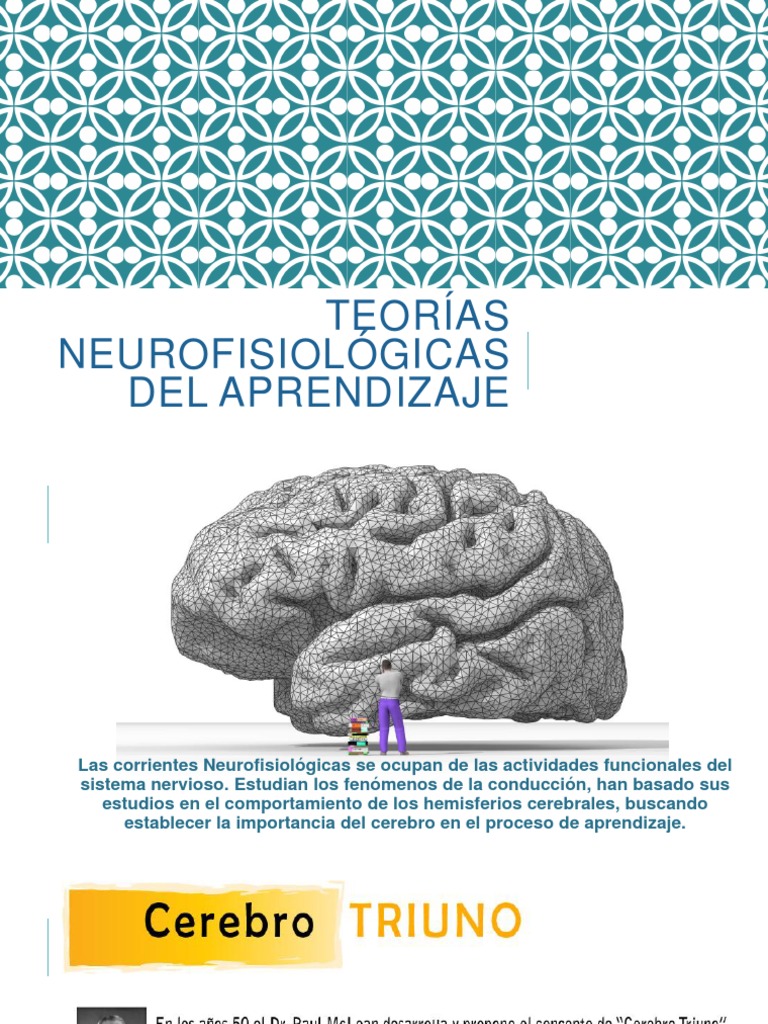 Teorías Neurofisiológicas del Aprendizaje | PDF