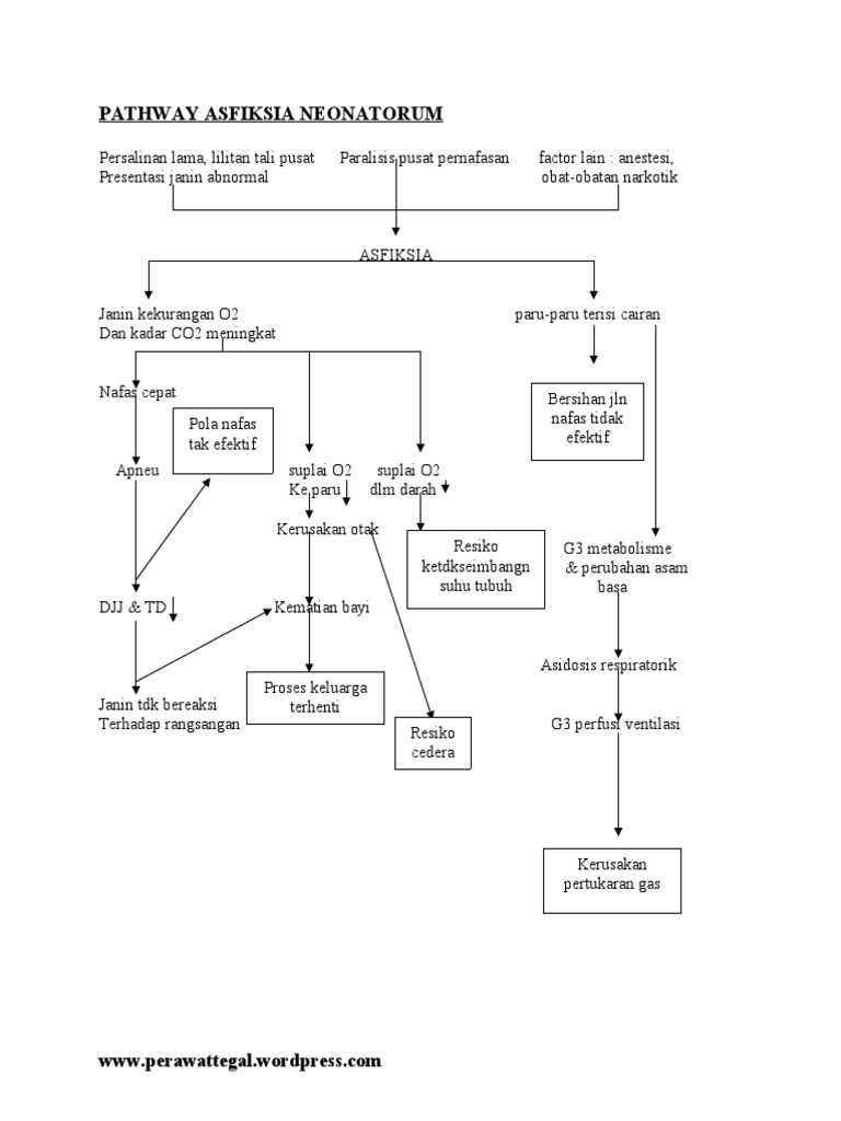 Pathway Asfiksia Um | PDF