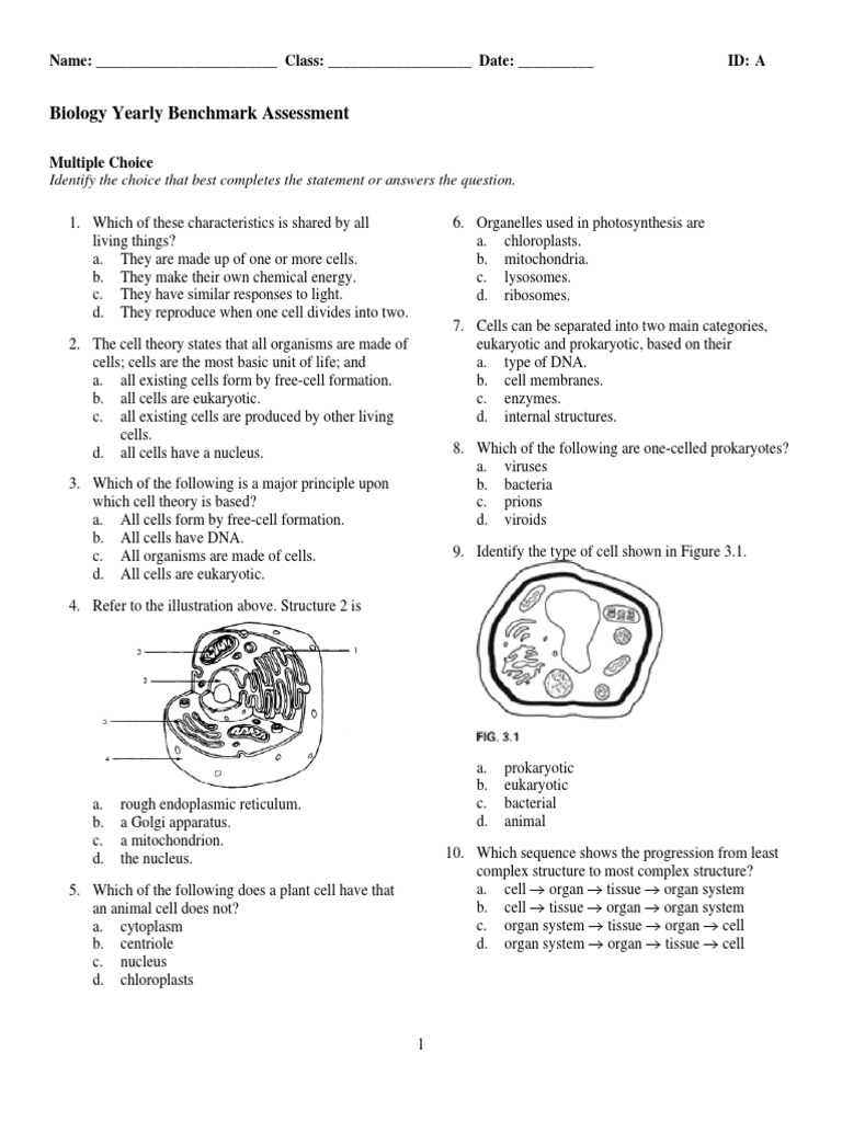 Biology Yearly Benchmark Assessment | PDF | Evolution | Cell (Biology)
