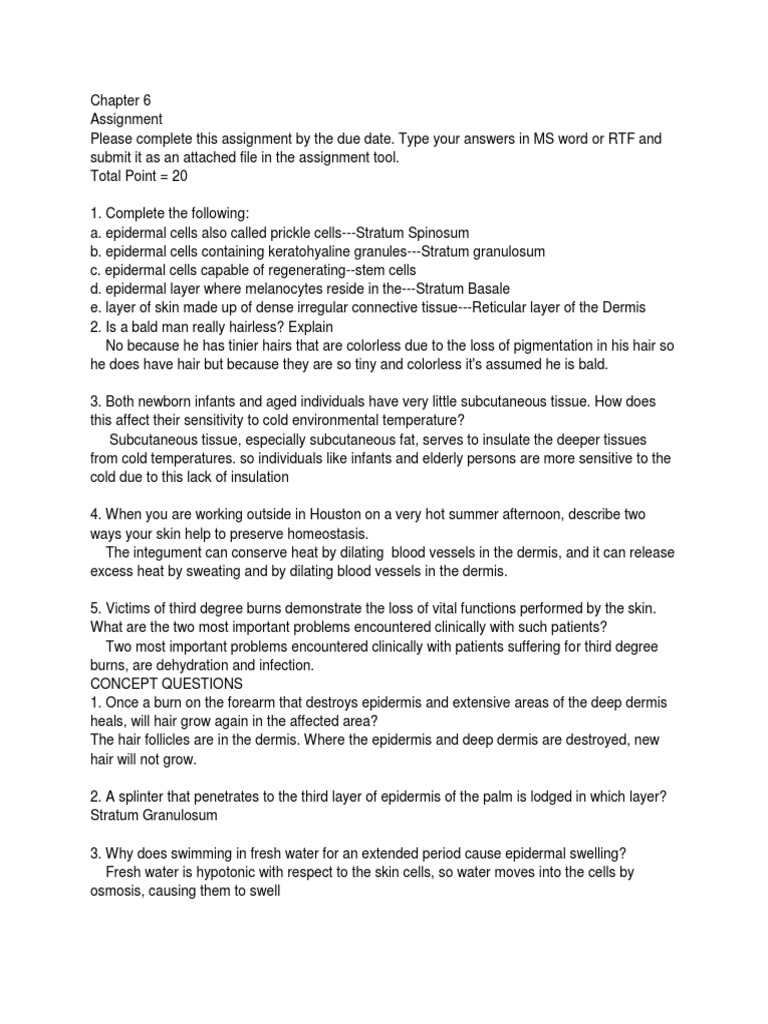 Chapter 6 Assignment - Skin Structure and Functions | PDF | Skin ...